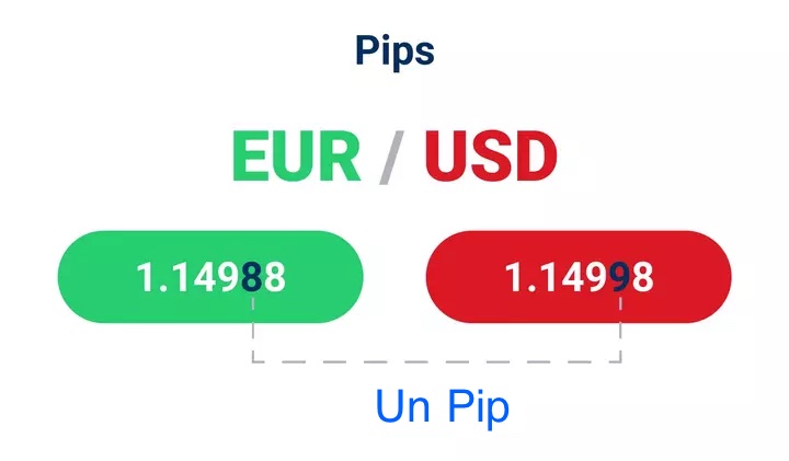 Calculadora de Pips - Newcapital Securities